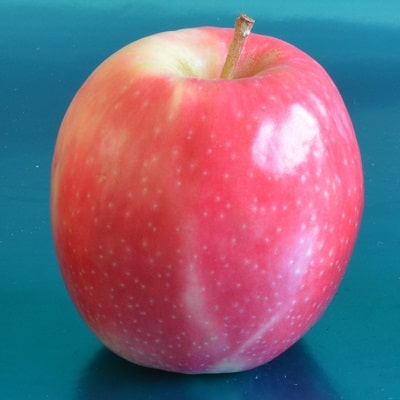 Pink Lady - Good Fruit Guide