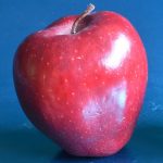 Red Delicious - Good Fruit Guide